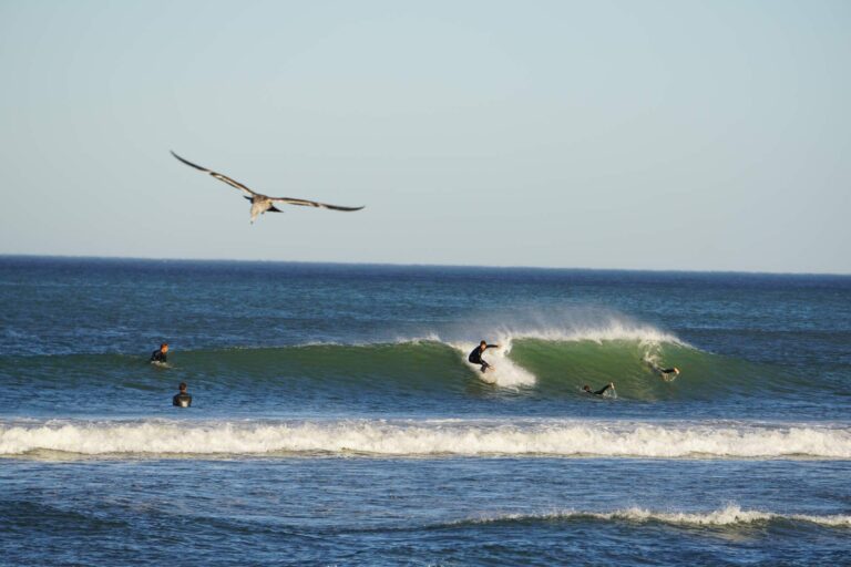 Surfing in Namibia | Salty Jackal Surf School and Surf Camp Swakopmund
